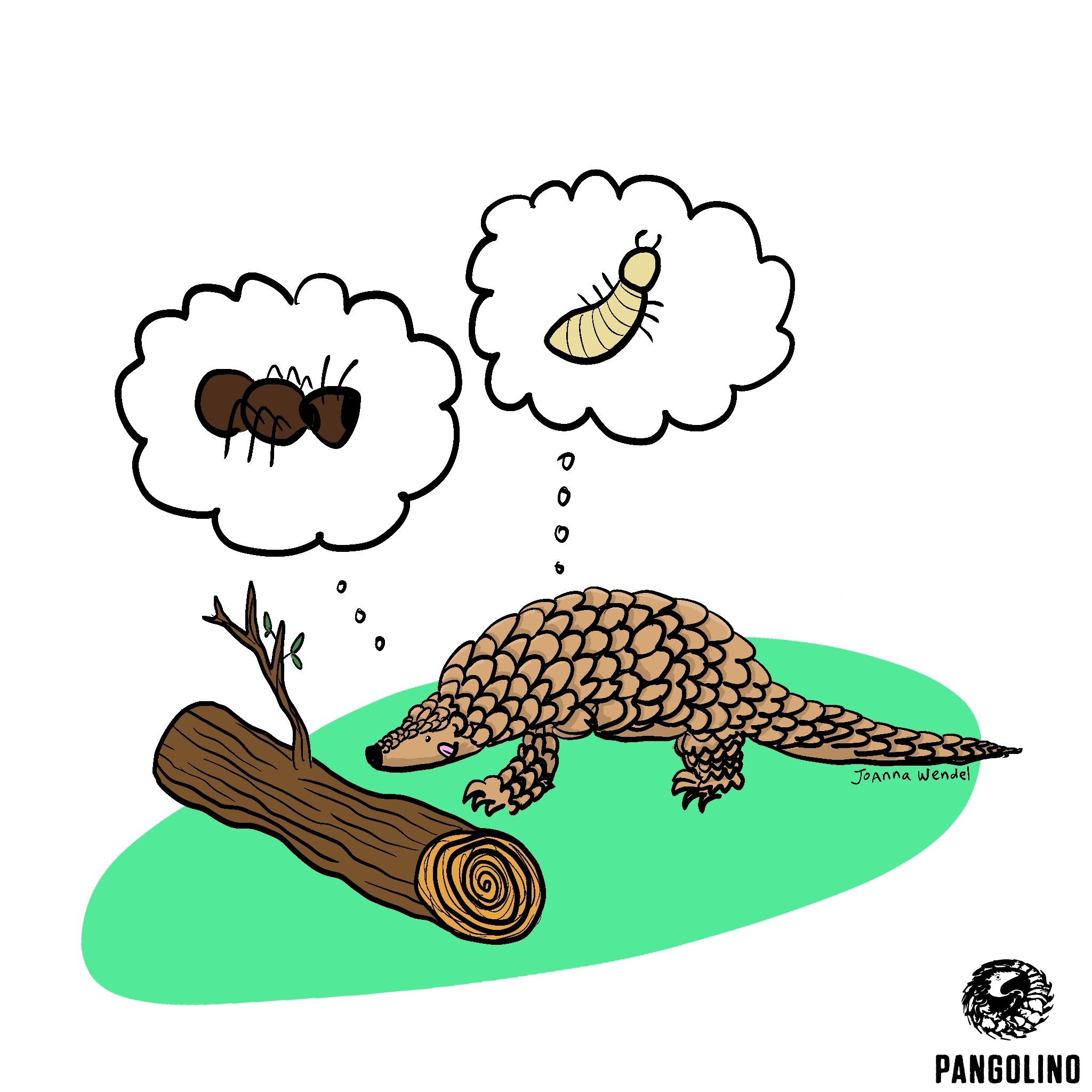 Pangolino - We Stand For Pangolin Conservation