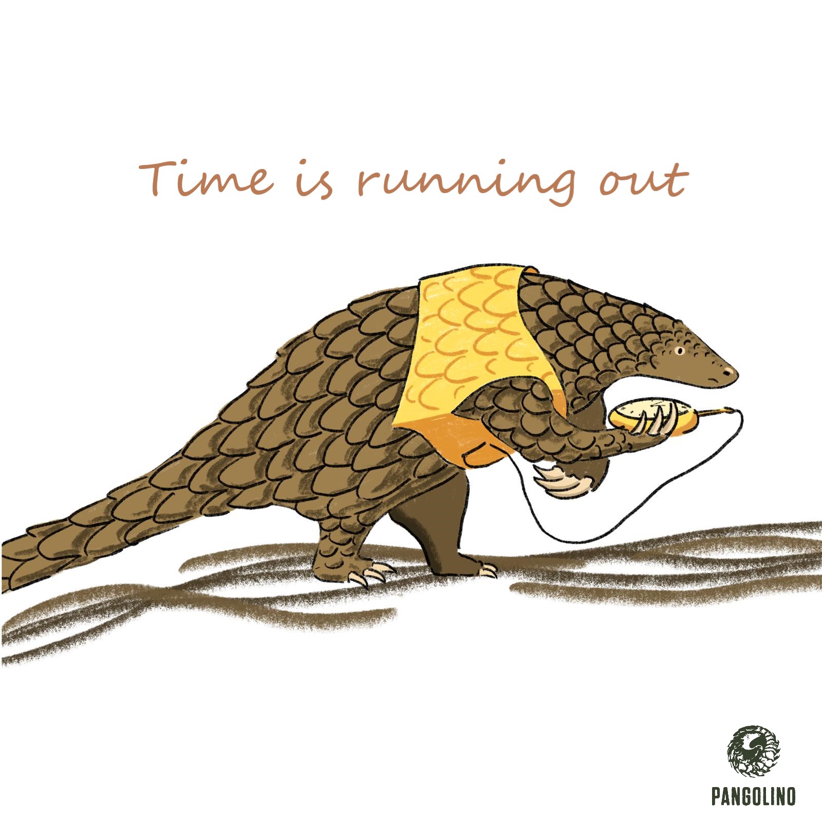 Pangolino - We Stand For Pangolin Conservation