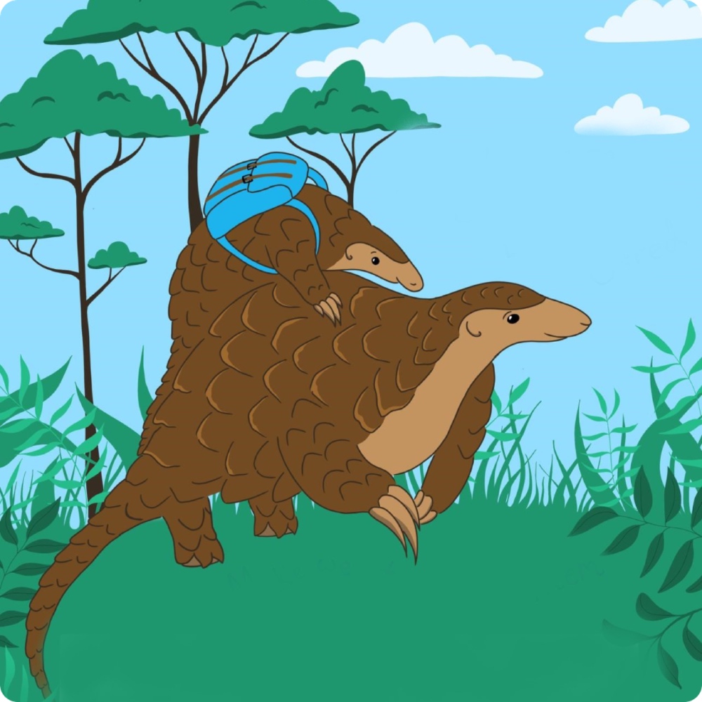Pangolino - We Stand For Pangolin Conservation