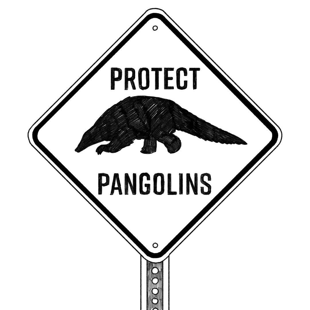 Pangolino - We Stand For Pangolin Conservation