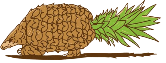 Pangolino - We Stand For Pangolin Conservation